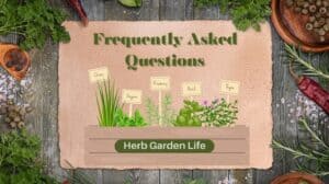 Your Essential Printable Herb Chart: An Easy Guide - Herb Garden Life